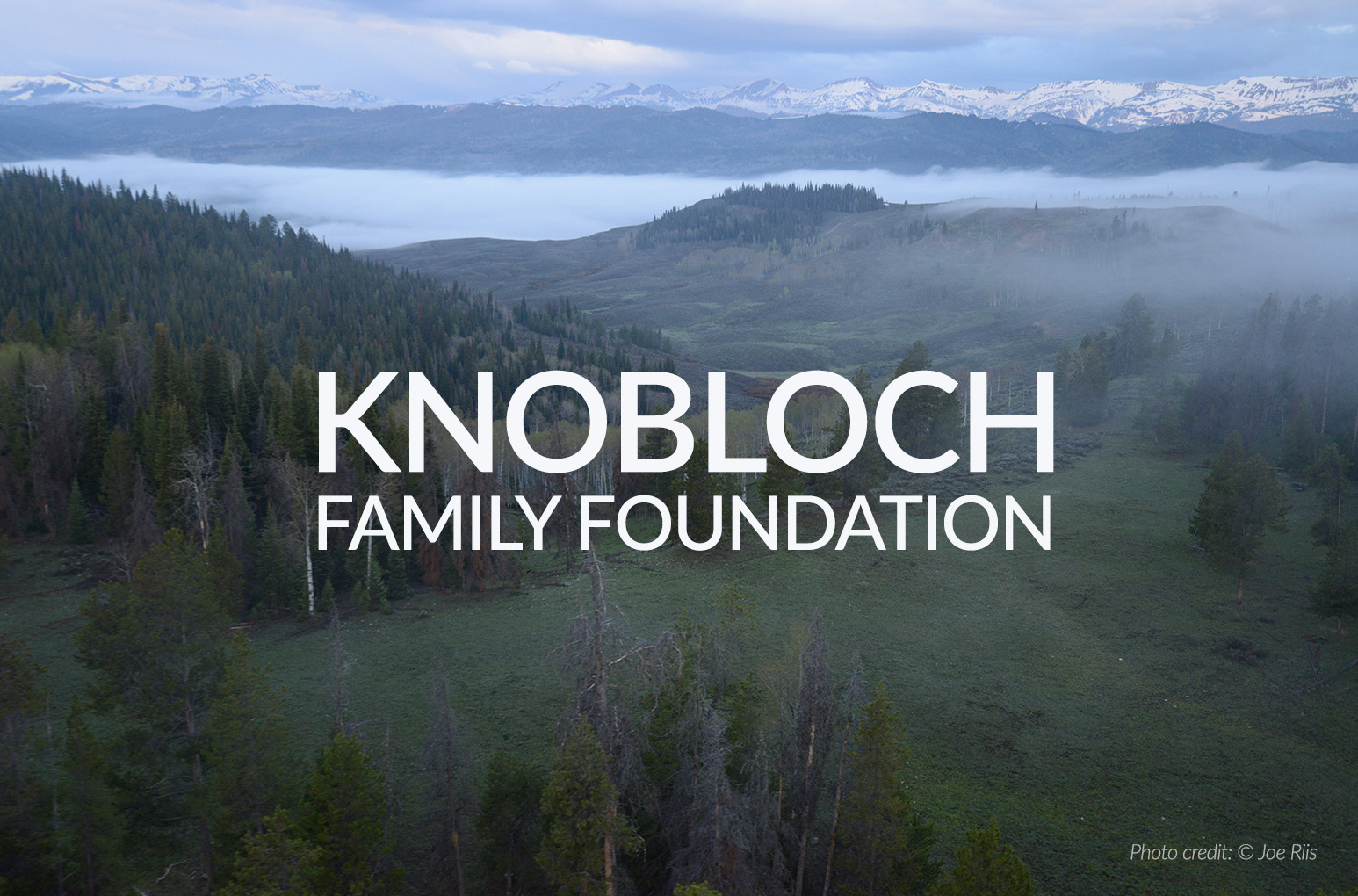 Knobloch Family Foundation | About